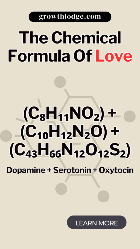 The Chemical Formula Of Love - Attraction Diary