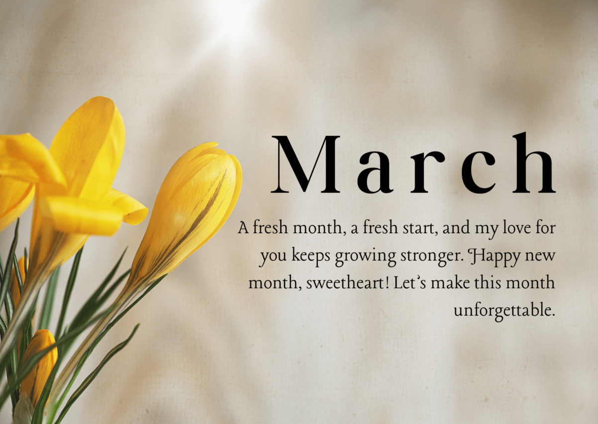 100 Sweet Happy New Month Messages To My Love - Attraction Diary